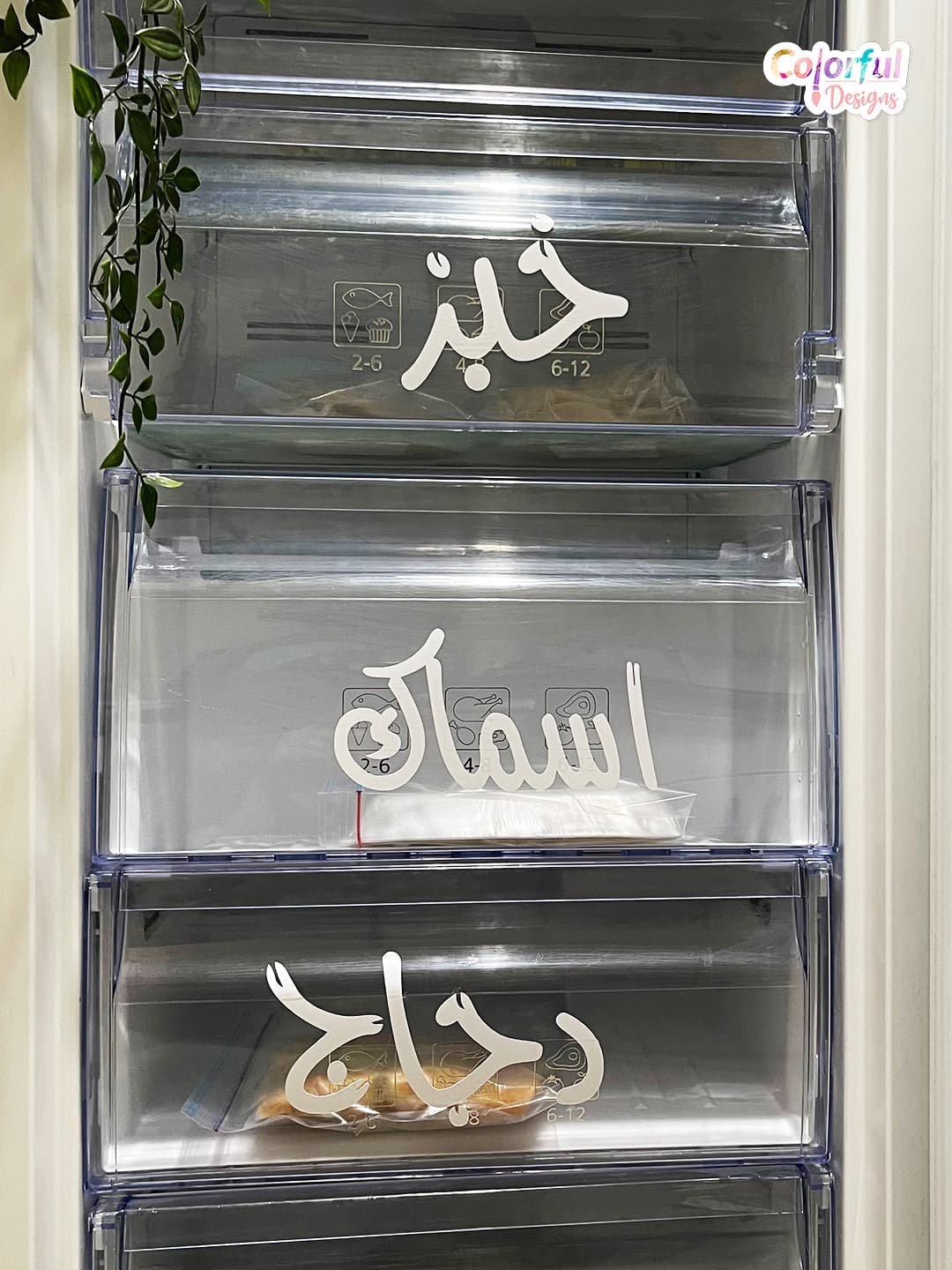 Bold freezer – Arabic – Colorful Designs